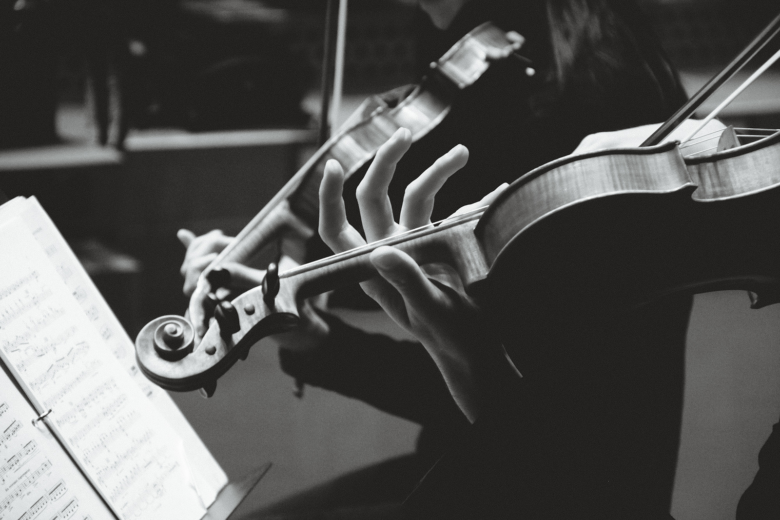 NEW CONCERT AUDIO: Parnassus Project - Classical KING | Classical Music for Everyone